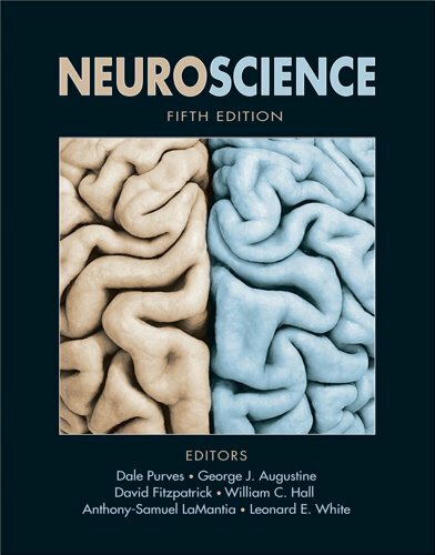 Neuroscience by Dale Purves 9780878936953| eBay
