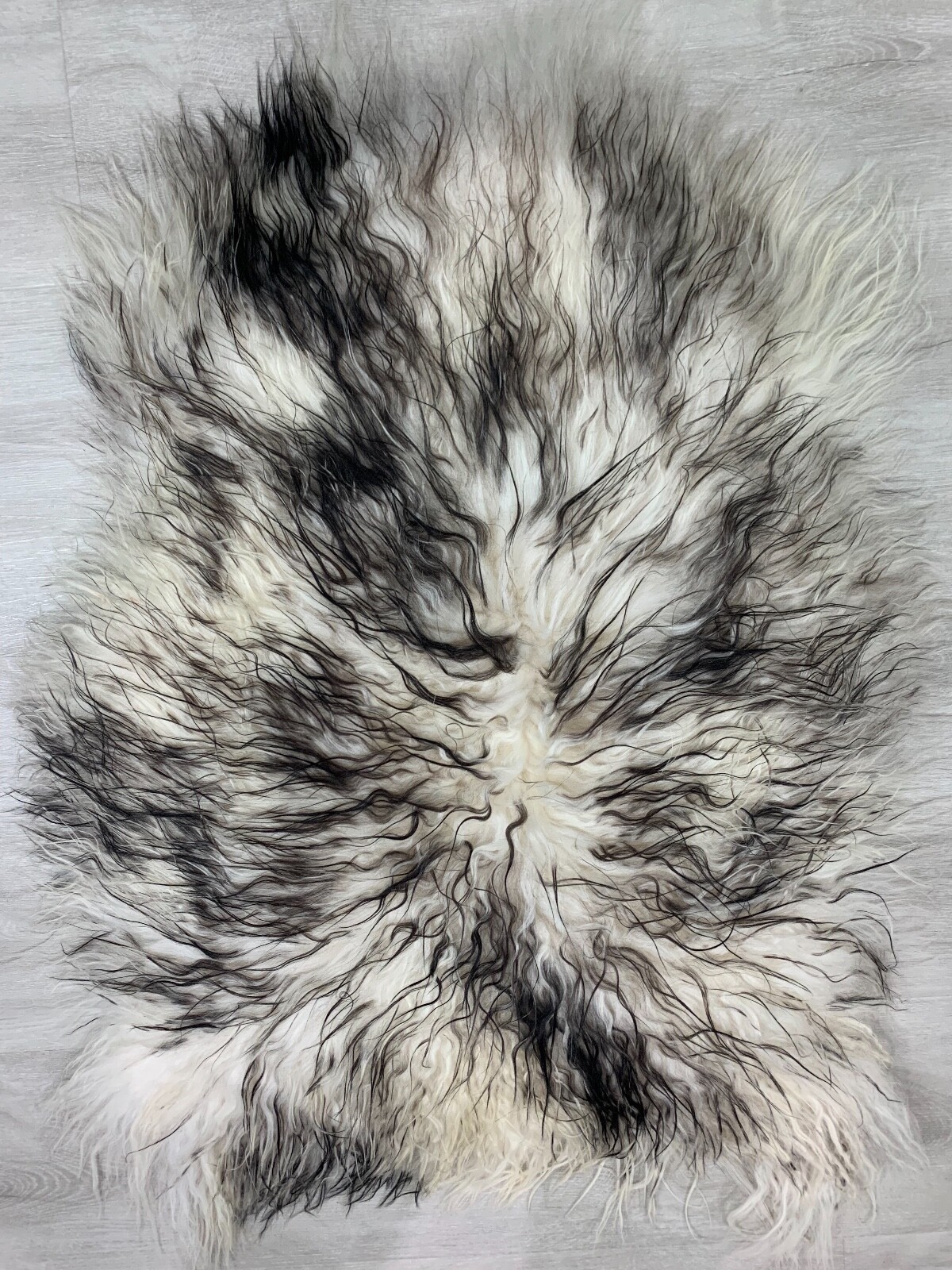 Icelandic Curly Mouflon Black Pelt Throw Blanket Hide Genuine Sheepskin ...