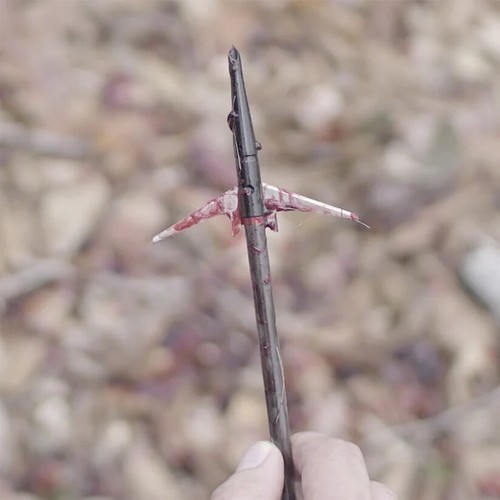 Swhacker SWH243 2 Blade 150 Grain 3 inch Cut Broadheads - 3 Pack | eBay