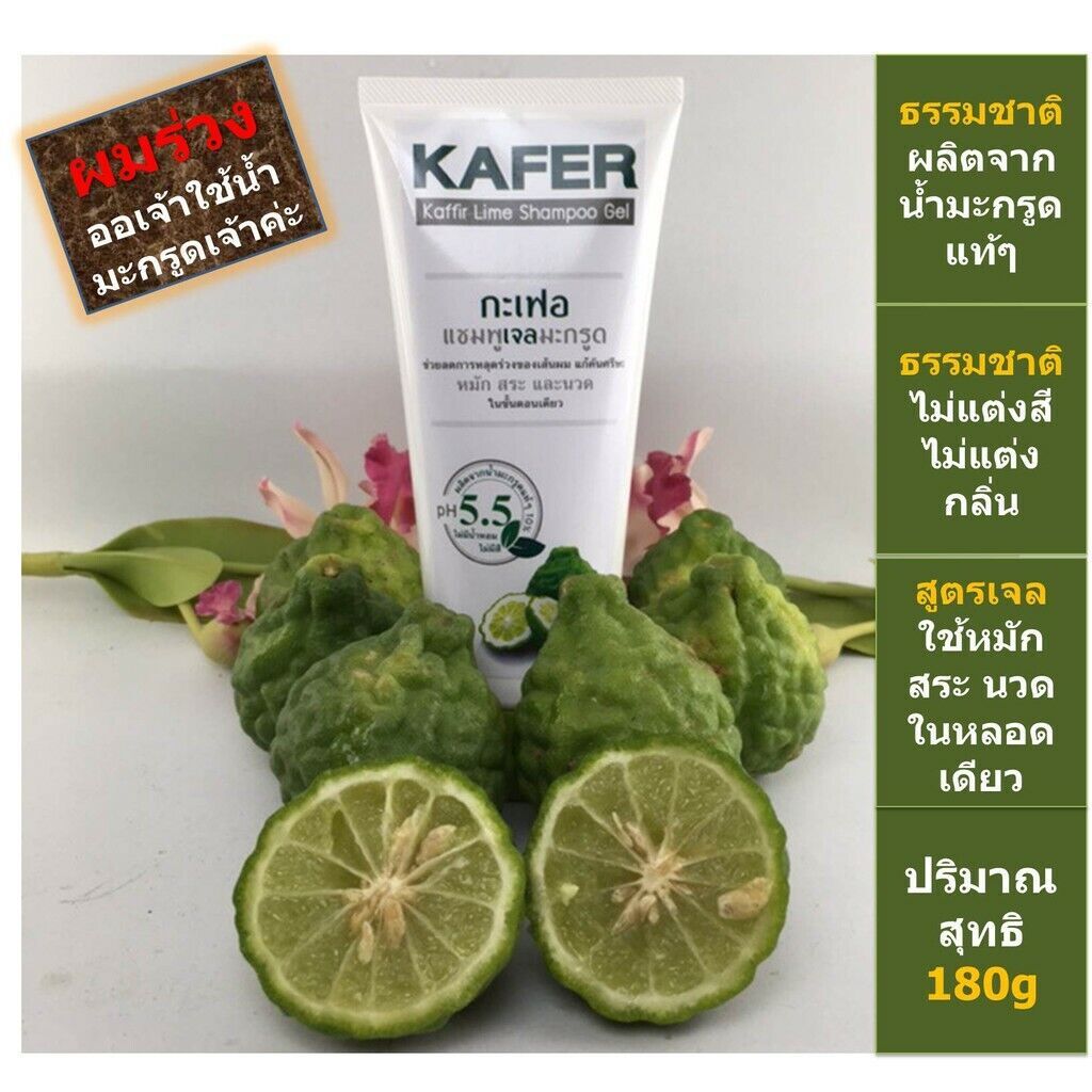 Kafer Kaffir Lime Shampo Gel 3 in 1 Treatment, Shampoo and Conditioner ...