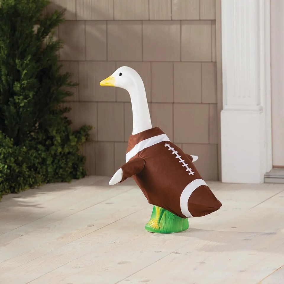 Football Super Bowl MVP Outfit Costume for 23" Goose Tailgate Lawn ...