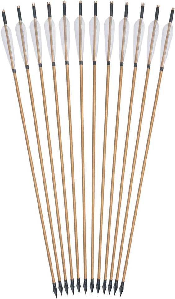 12pcs 33" Wooden Arrows Turkey Feather Sharp Iron Tips for Recurve Bow ...