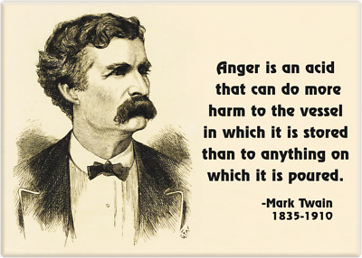 Magnet - Mark Twain Anger Is an Acid Quote Wisdom Relations Gift ...