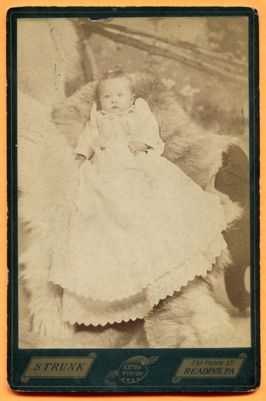 Reading, PA, Portrait of a Baby, by Strunk, circa 1880s Backstamp | eBay