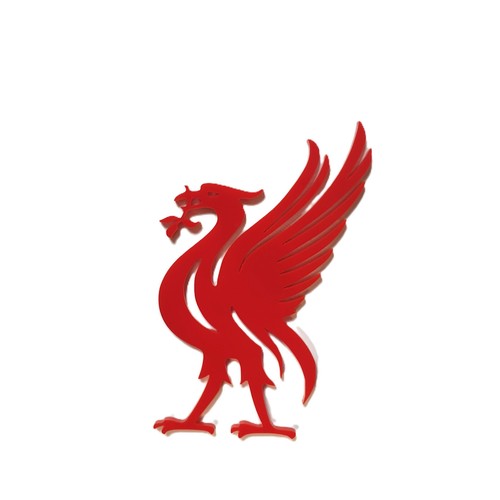 Acrylic Liverbird Craft Shape, Liverpool Bird Logo, Anfield Emblem, Red ...