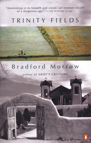 Trinity Fields by Bradford Morrow (2002, Trade Paperback) for sale online | eBay