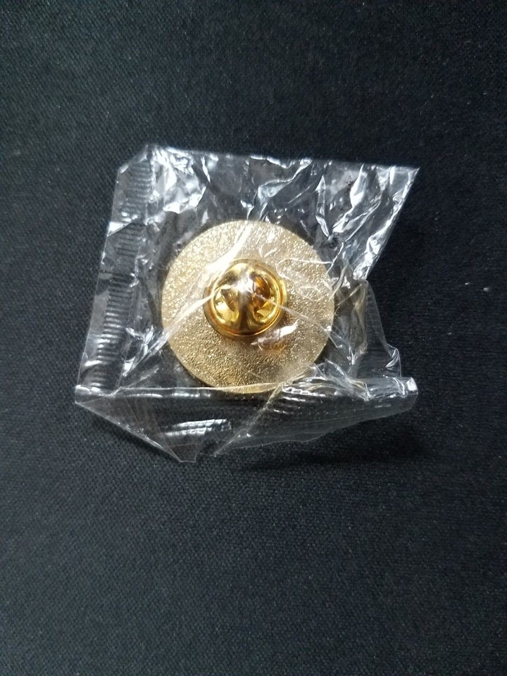 Town of Duson Round Up days RARE Pin Louisiana NEW NIB | eBay