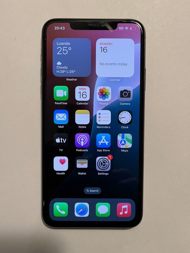 READ - Apple iPhone 11 Pro Max 256GB Unlocked A2218 Graphite | eBay