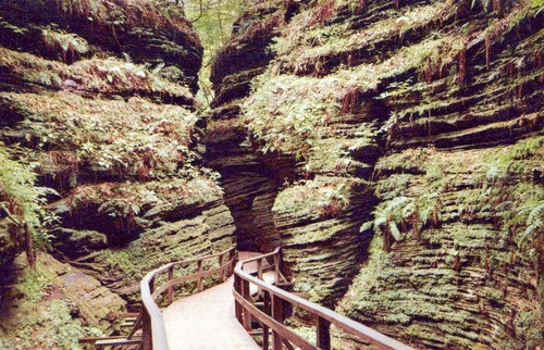 Wisconsin Dells Moss Chamber Cold Water Canyon Postcard | eBay
