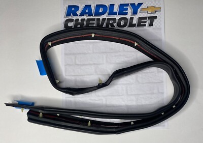 NEW GM OEM REAR DOOR- REAR SEAL RIGHT GMC 23455372 | eBay