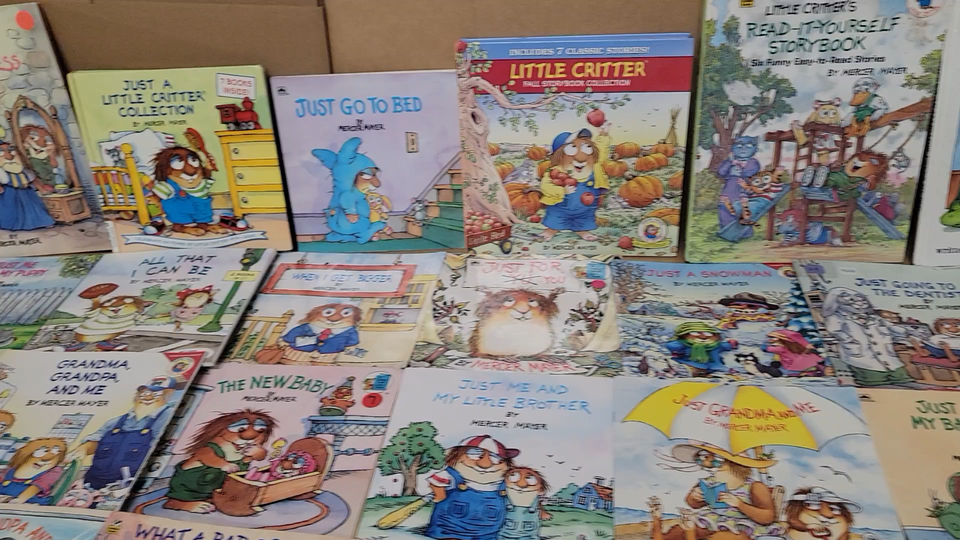 Lot of 10 Little Critter Mercer Mayer Picture Children Kids Books - MIX ...