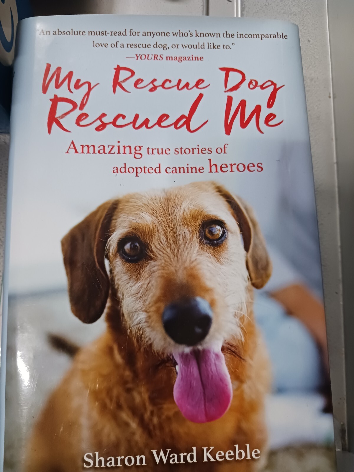 My Rescue Dog Rescued Me : Amazing True Stories of Adopted Canine ...