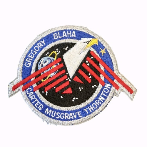 NASA 1989 STS-33 Discover Patch Gregory Blabs Carter Musgrave Thornton ...