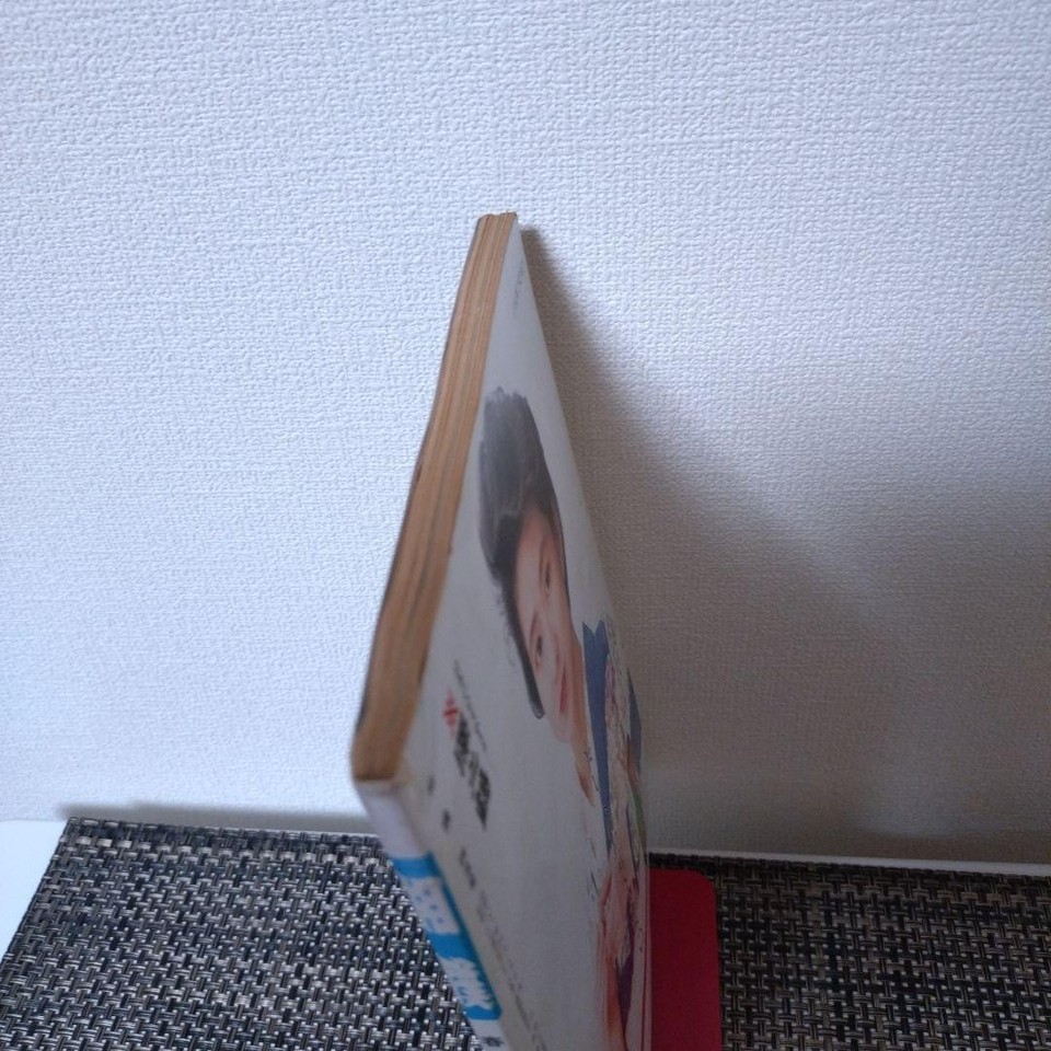 Sumo Spring Place Financial Issue April 1986 Used Vintage Magazine ...