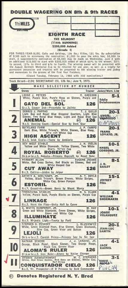 CONQUISTADOR CIELO IN 1982 BELMONT STAKES HORSE RACING PROGRAM! BELMONT ...