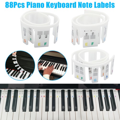 Removable Piano Keyboard Note Labels 88 Keys Reusable Silicone Piano ...