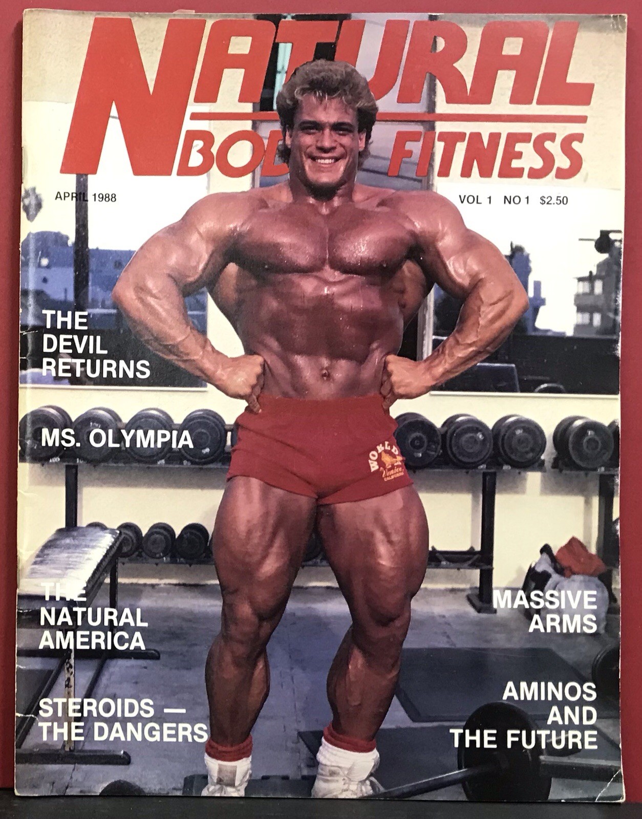 Natural Body Fitness Bodybuilding Magazine / Luiz Freitas / Vol 1 No. 1 ...