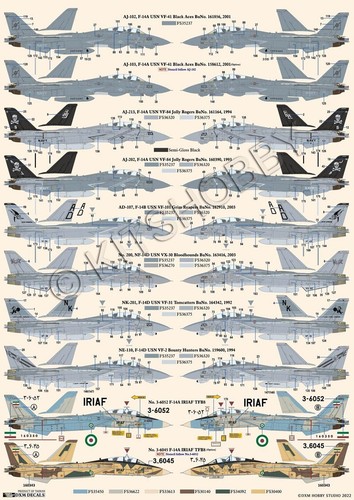 DXM decal 1/72 USN F-14 Tomcat VF-2/VF-31/VF-41/VF-84/VF-101/VX-30 ...