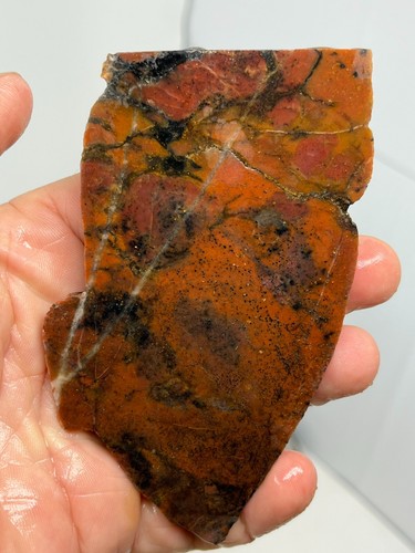 Washington State Jasper Slab Cabbing Lapidary Carving Chakra Reiki | eBay