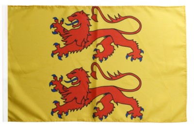 Frankreich Hautes-Pyrénées Banner Fahnen Flaggen 30x45cm | eBay.de