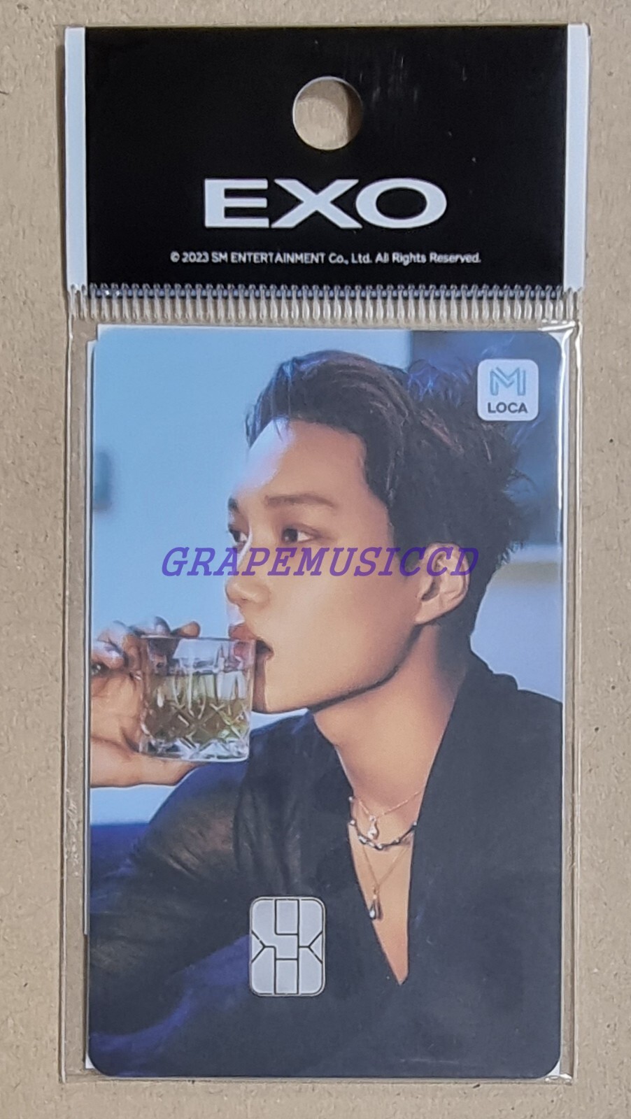 EXO EXIST SM OFFICIAL MD GOODS PHOTOCARD LOCA MOBILITY LOCAMOBILITY ...