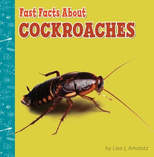 Lisa J Amstutz Cockroaches (Paperback) (UK IMPORT) 9781977132673| eBay