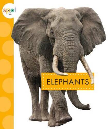 Elephants (Spot African Animals) - Paperback By Klukow, Mary Ellen ...