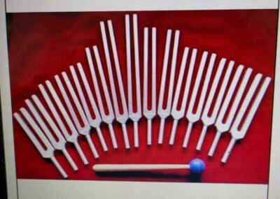 Human Organ Unweighted 15 Set Tuning Forks with Mallet and Velvet Bag ...
