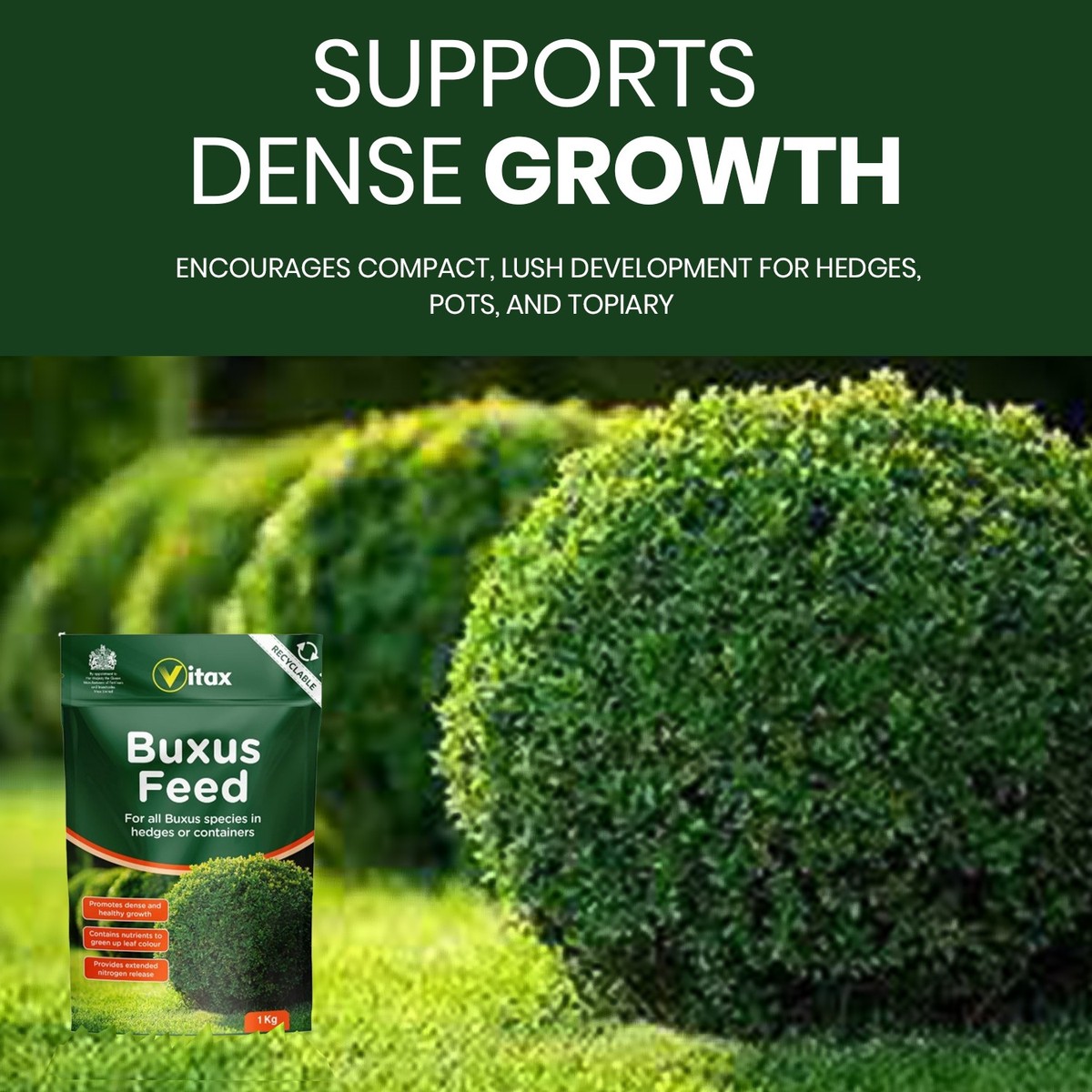 Box Hedge Feed Vitax Buxus Feed 1kg - Box Hedge Fertilizer With ...