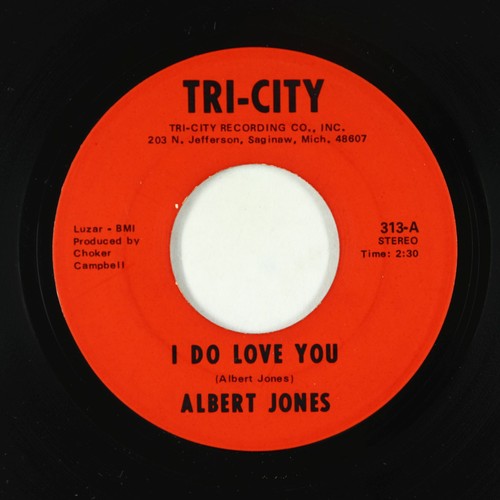 Crossover Soul 45 - Albert Jones - I Do Love You - Tri-City | eBay