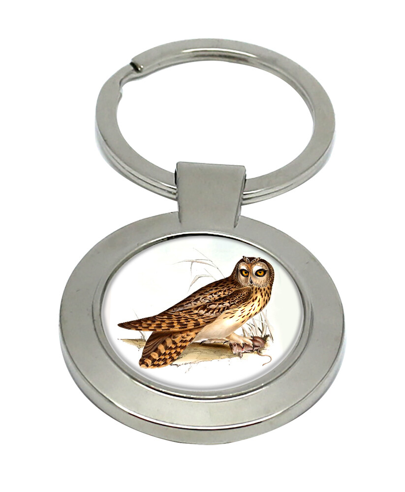Short-eared Owl Key Ring | eBay