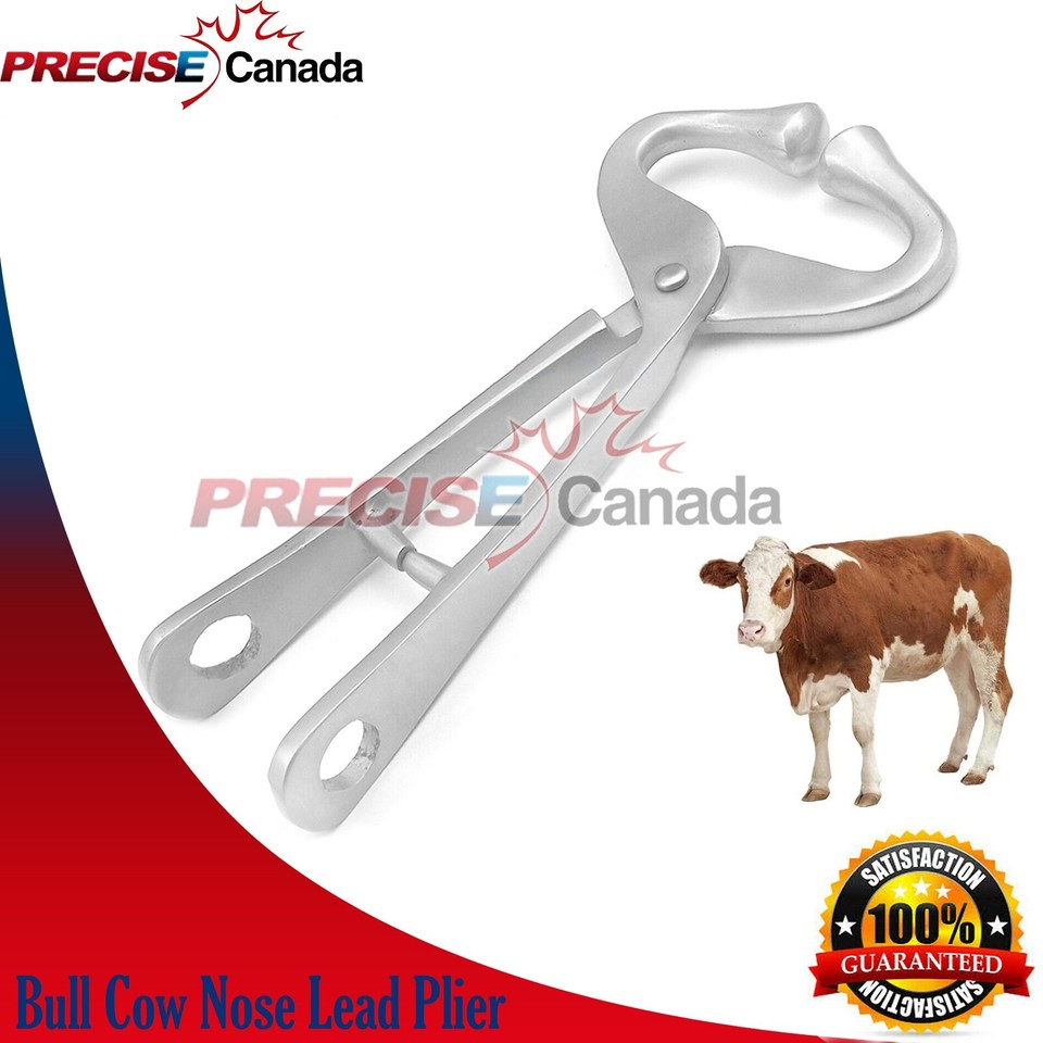 Bull Cow Nose Lead Cattle Nose Pliers No Chain Pulling Tool for Farm ...
