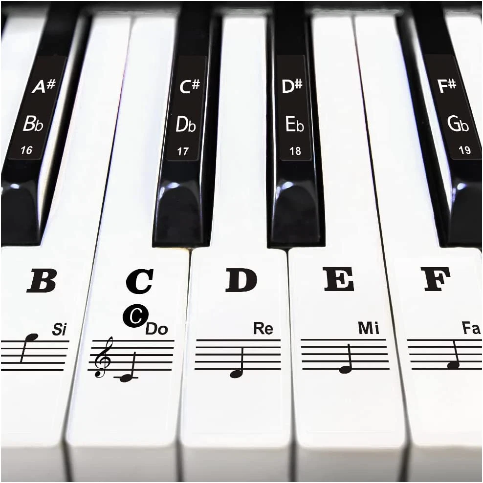 Piano Keyboard With Note Names