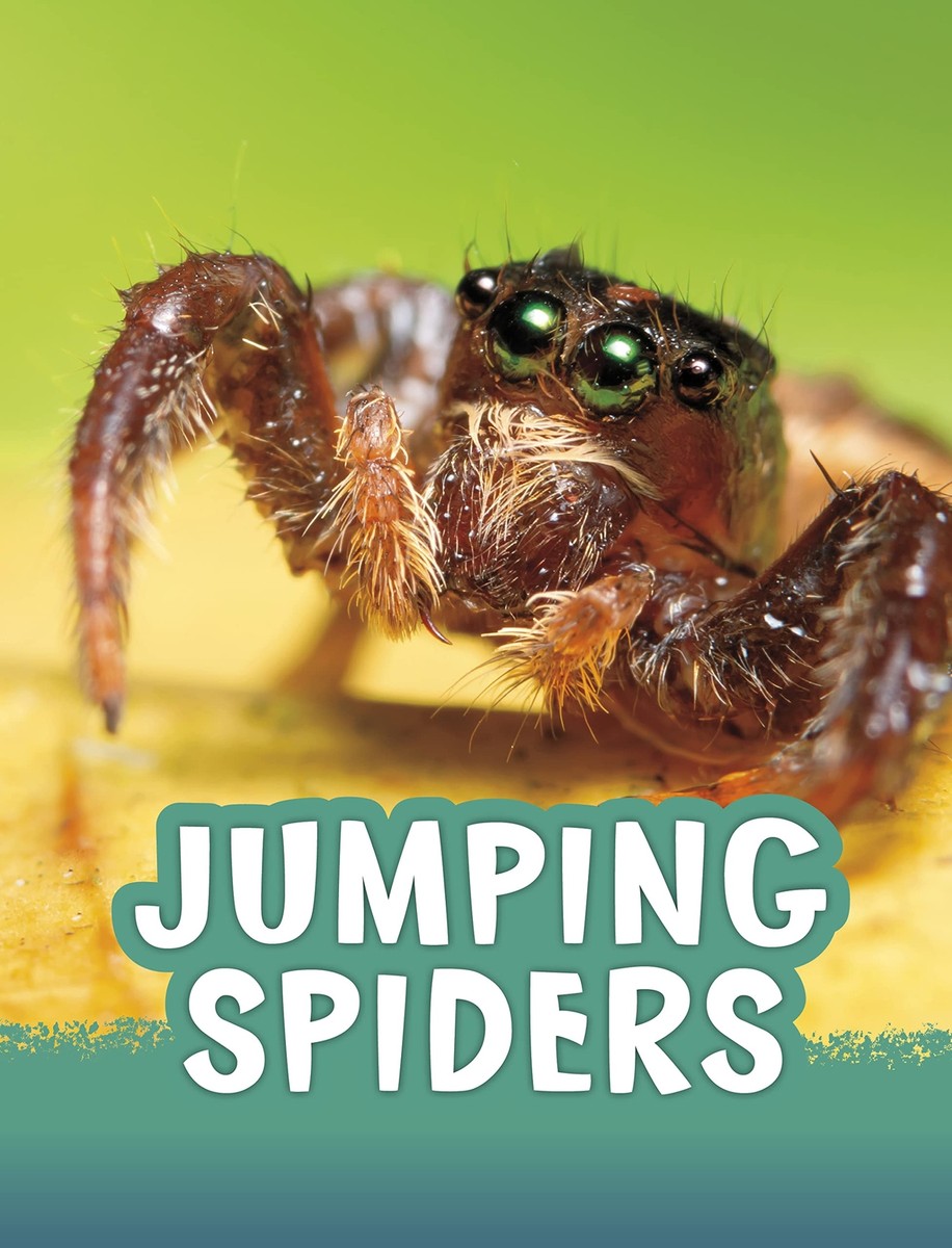 Jumping Spiders With Hat