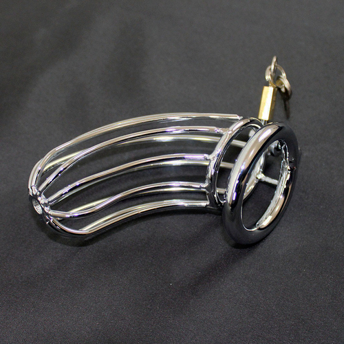 Chastity Cage Male Stainless Steel Metal Ring Bird Device Lock Bondage ...