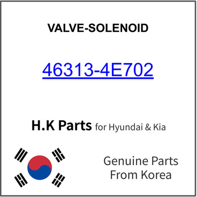 Genuine 46313-4E702 VALVE-SOLENOID for Hyundai / Kia | eBay Australia