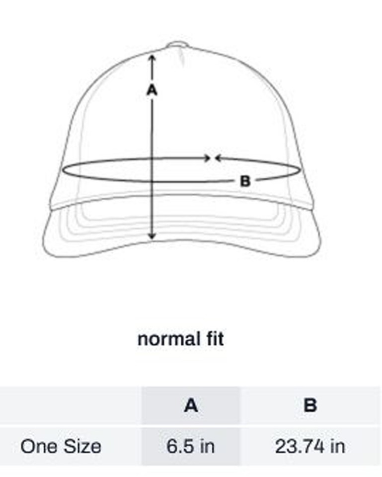 Briggs & Stratton Black Trucker Hat Cap Adult Size | eBay