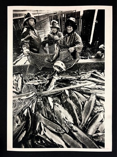 1982 Gig Harbor WA Minter Creek Fish Hatchery Coho Salmon Trap VTG ...