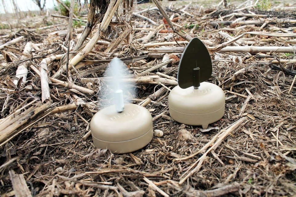 Spinning Wing Dove Decoys for Dove Hunting, 4 Pack | eBay