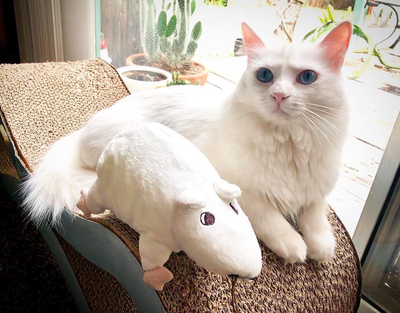 IKEA GOSIG RATTA Soft Plush Toy - 23cm Rat Gift, Pet Toy & Prank Fun ...