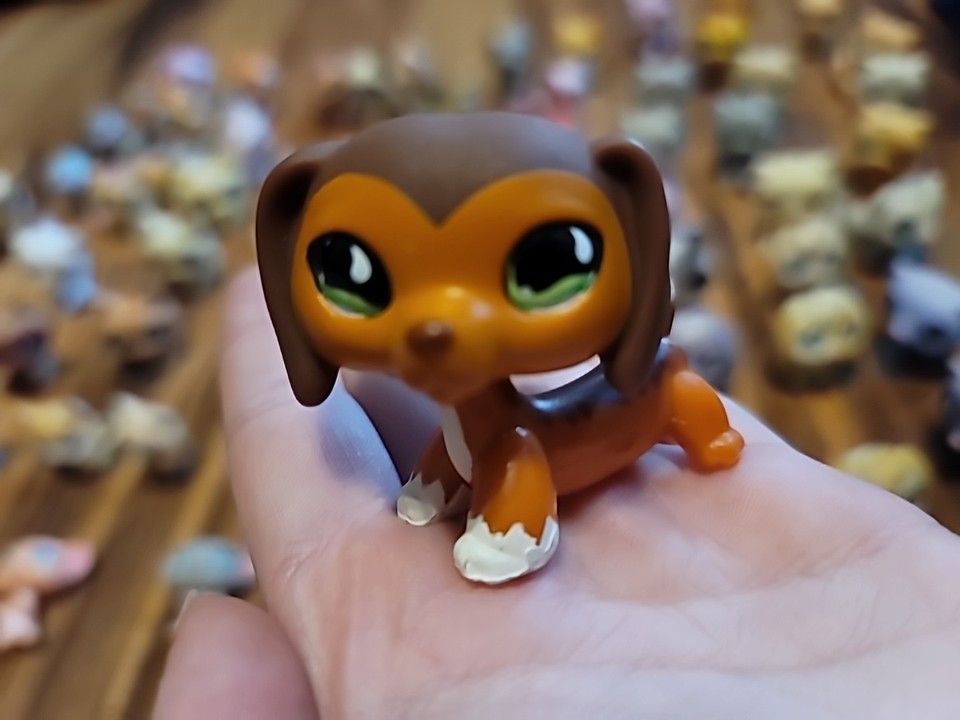Littlest Pet Shop LPS 675 Authentic Brown Dachshund Savannah/Savvy | eBay