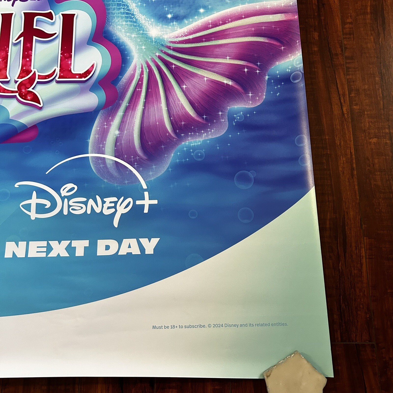 ARIEL The Mermaid Disney Jr. 2024 Bus Stop Movie Poster 48x70inches ...