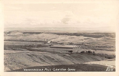 LEWISTON, ID, WEYERHAEUSER LUMBER & PULP MILL OVERVIEW, REAL PHOTO PC c ...