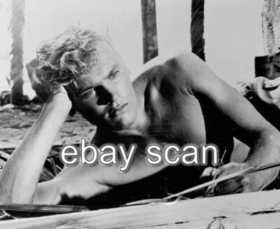 TAB HUNTER BARECHESTED BEEFCAKE 8X10 PHOTO 4 | eBay