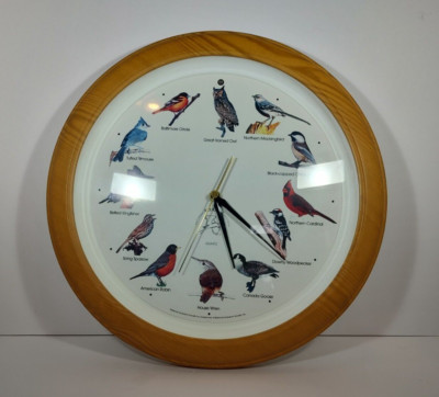 National Audubon Society Birdsong 13" Quartz Wall Clock WORKS Singing ...