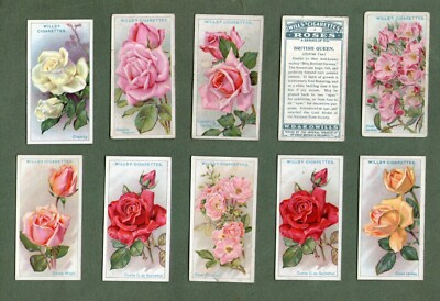 Tobacco cigarette cards Roses 1926 set of 50 | eBay