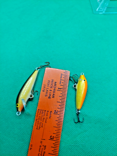 Old fishing lures Two small Rapala crankbaits great for Bass and ...