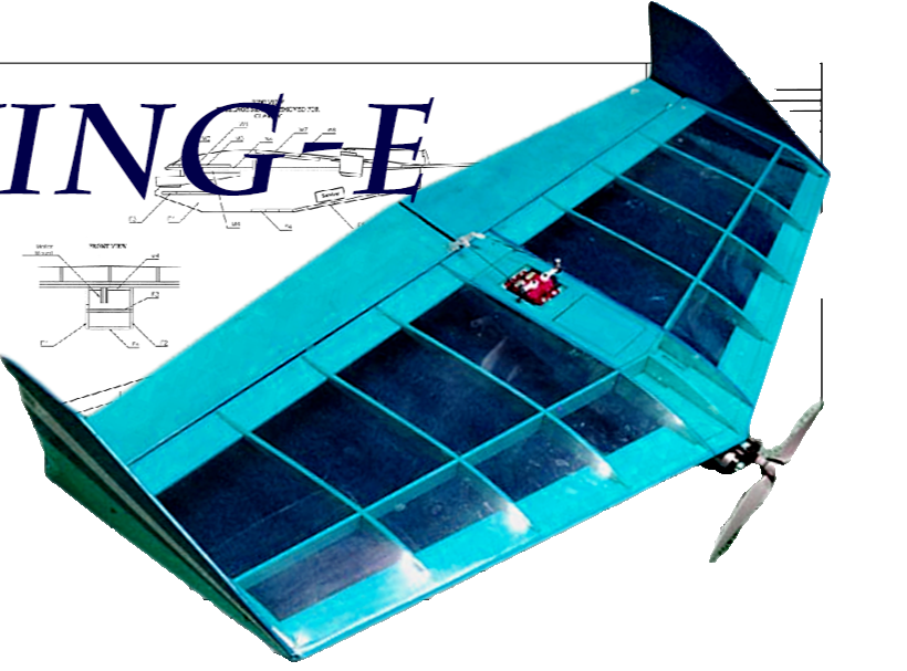 Wing-E Sport for GWS Power 21" WS RC Airplane Laser Cut Balsa Short Kit ...