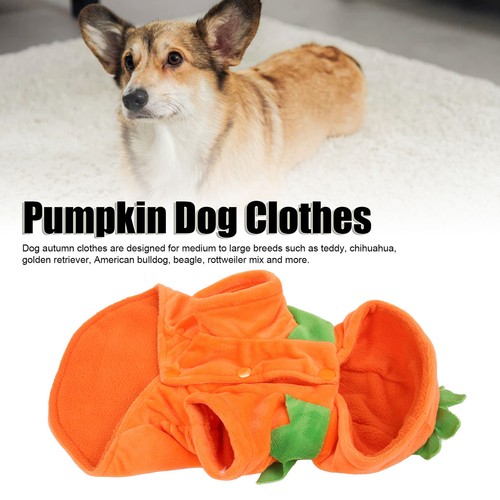 Halloween Pumpkin Dog Clothes Cute Warm Dog Costume For Medium Large ...