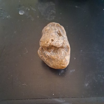 Prehistoric Paleo-American, fossilized bone, rock art sculpture, multi ...